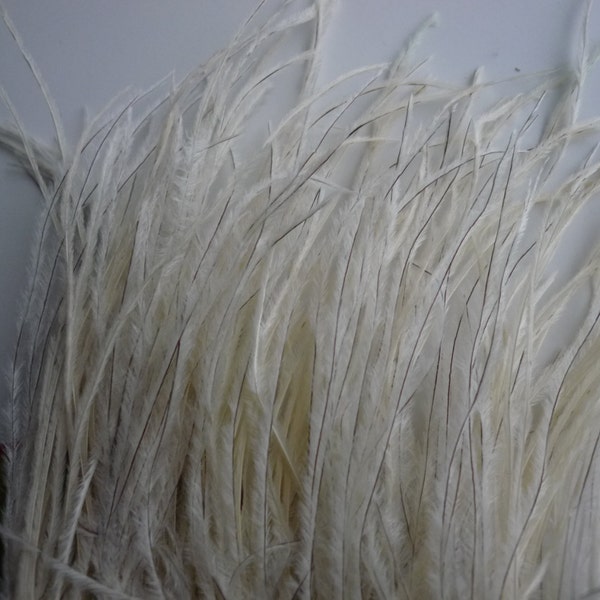 Cream Ostrich Feather - Etsy
