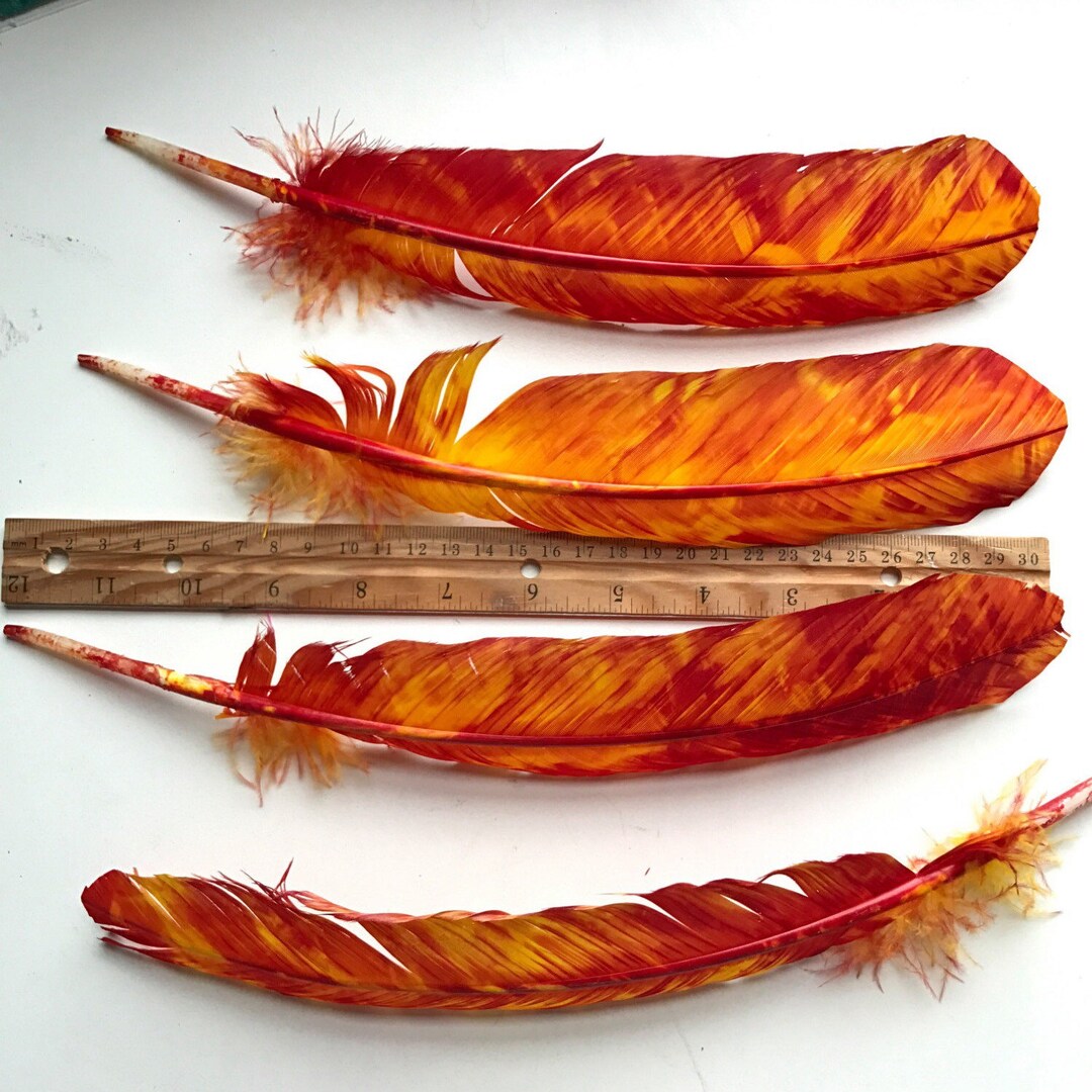 TURKEY QUILL, Orange and Yellow, Fire, 4 Pieces / Q 5 - Etsy