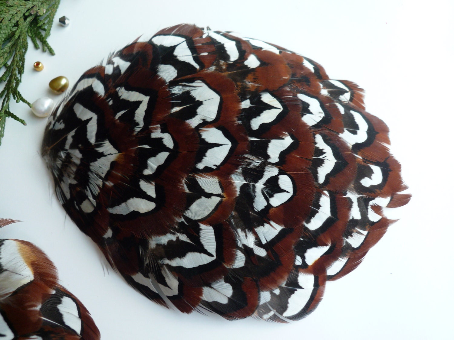 FEATHER PAD Pheasant Ringneck feather / 95 | Etsy