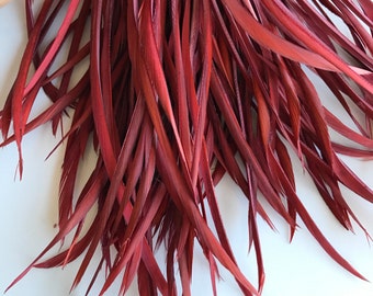 Red Terra Cotta | Etsy