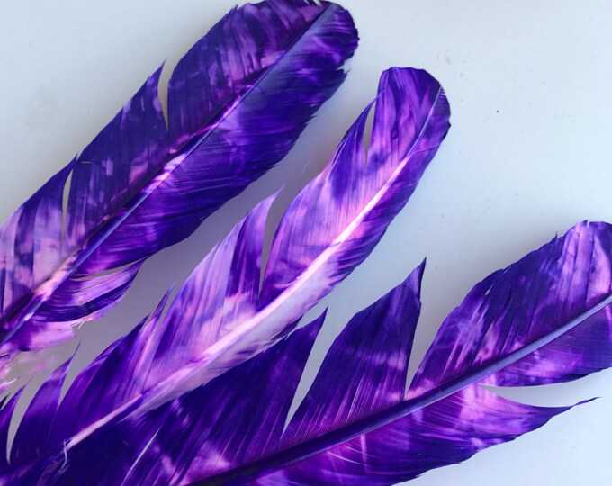 TURKEY QUILL, Magenta, Purple, 4 Pieces / Q - 4 /buy One Get One FREE ...