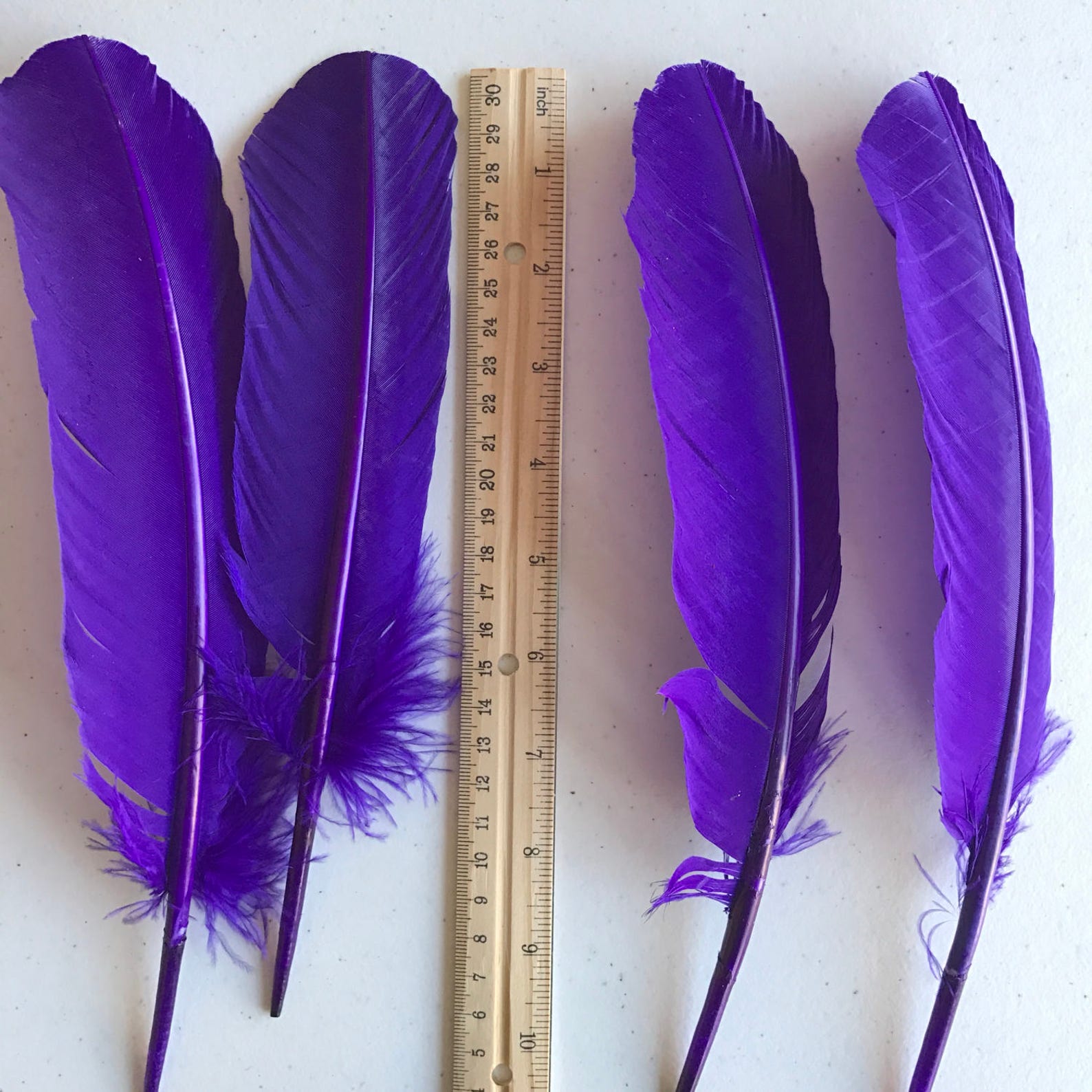 TURKEY QUILL Deep Purple Violet 4 pieces / Q-11 | Etsy