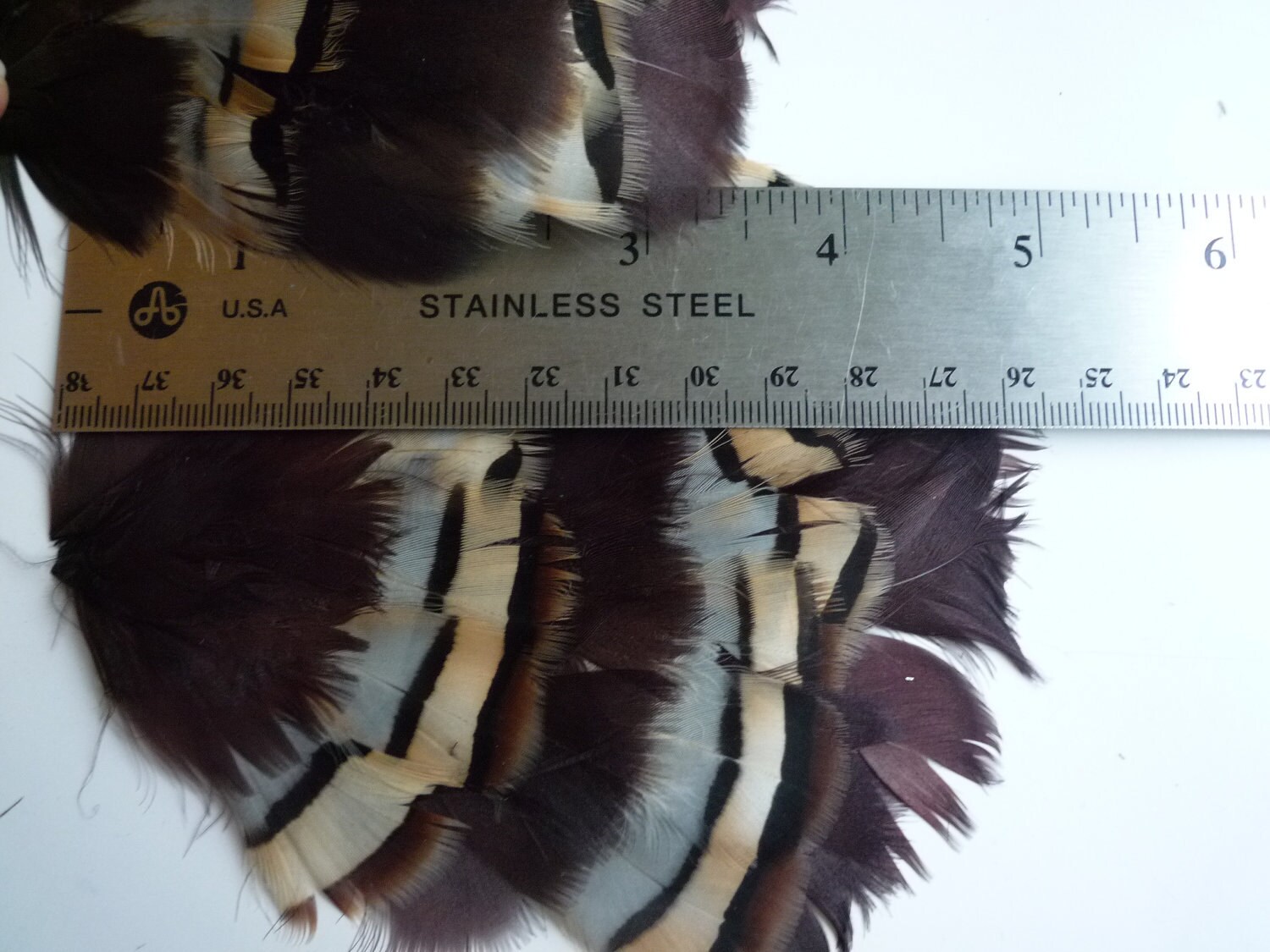 FEATHER PAD Partridge Feather Pad Exclusive Quality / 85 - Etsy