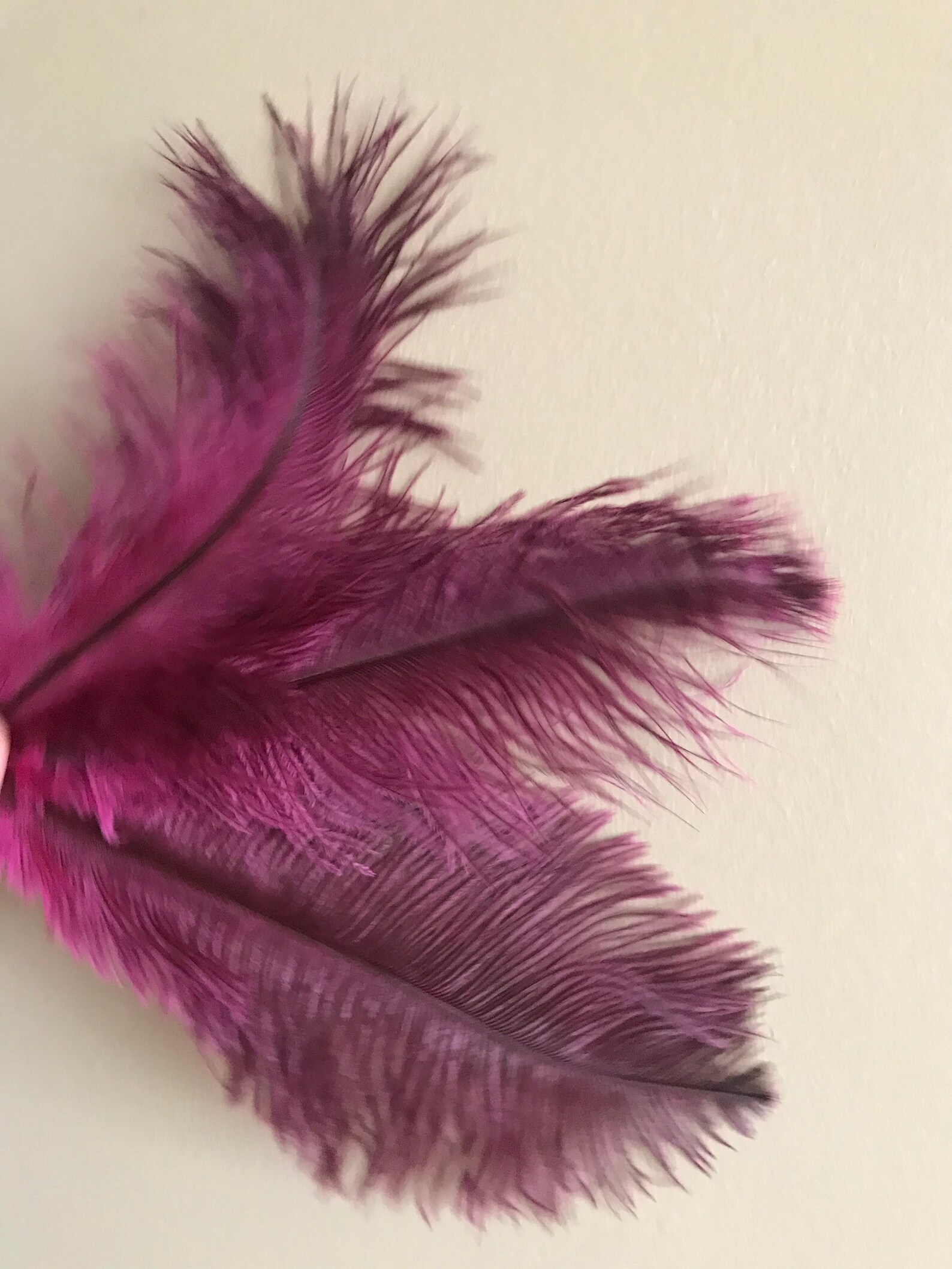 OSTRICH PLUMES 3 Pieces Dark Hot Pink Ombré / OP-39 - Etsy