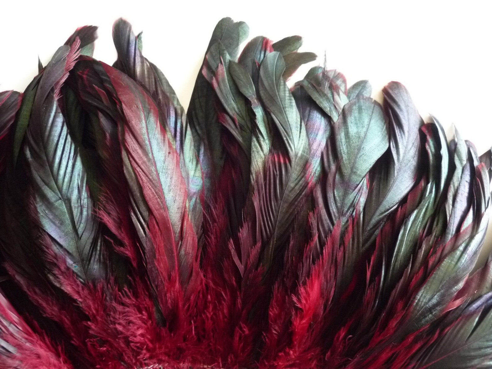 COQUE TAIL FEATHERS Loose / Iridescent Black and Red/ 187 - Etsy