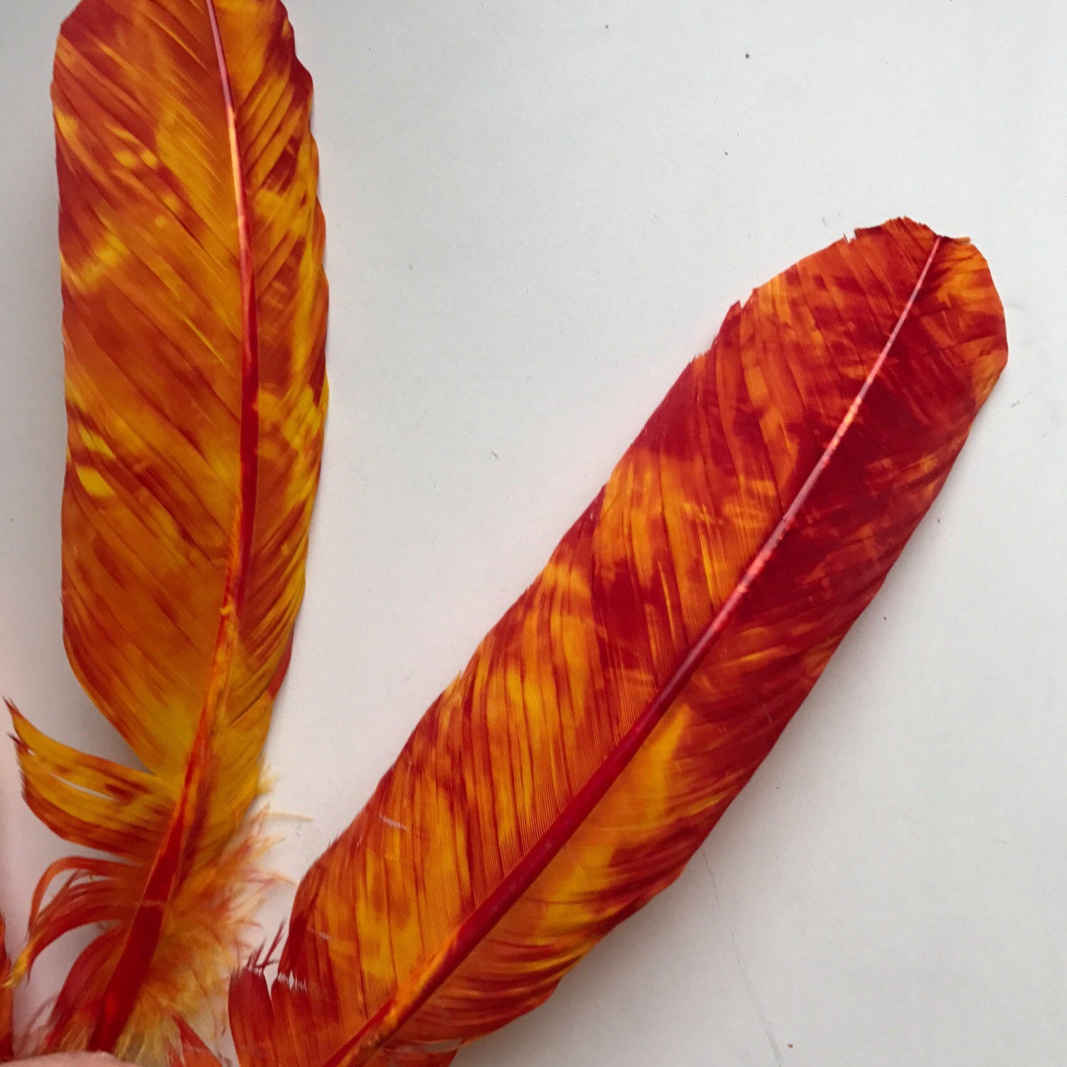TURKEY QUILL Orange and Yellow Fire 4 pieces / Q 5 | Etsy