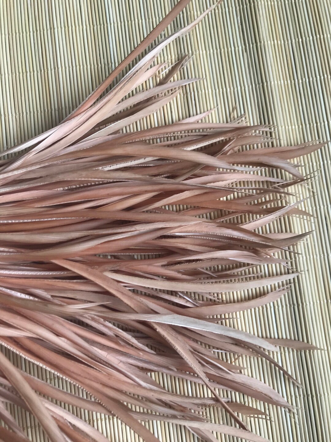 GOOSE BIOT FEATHERS, Tan, Blush / 741 - Etsy