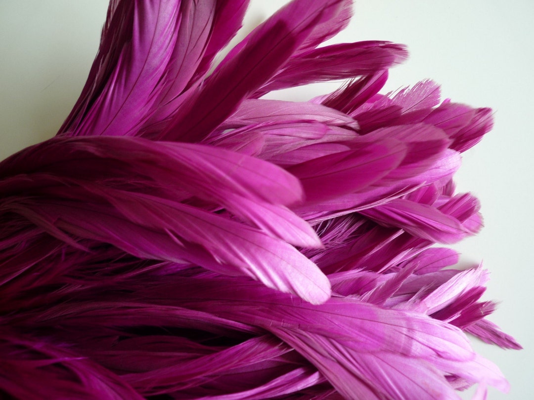 COQUE TAIL FEATHERS Loose /dusty Magenta Pink / 821 - Etsy