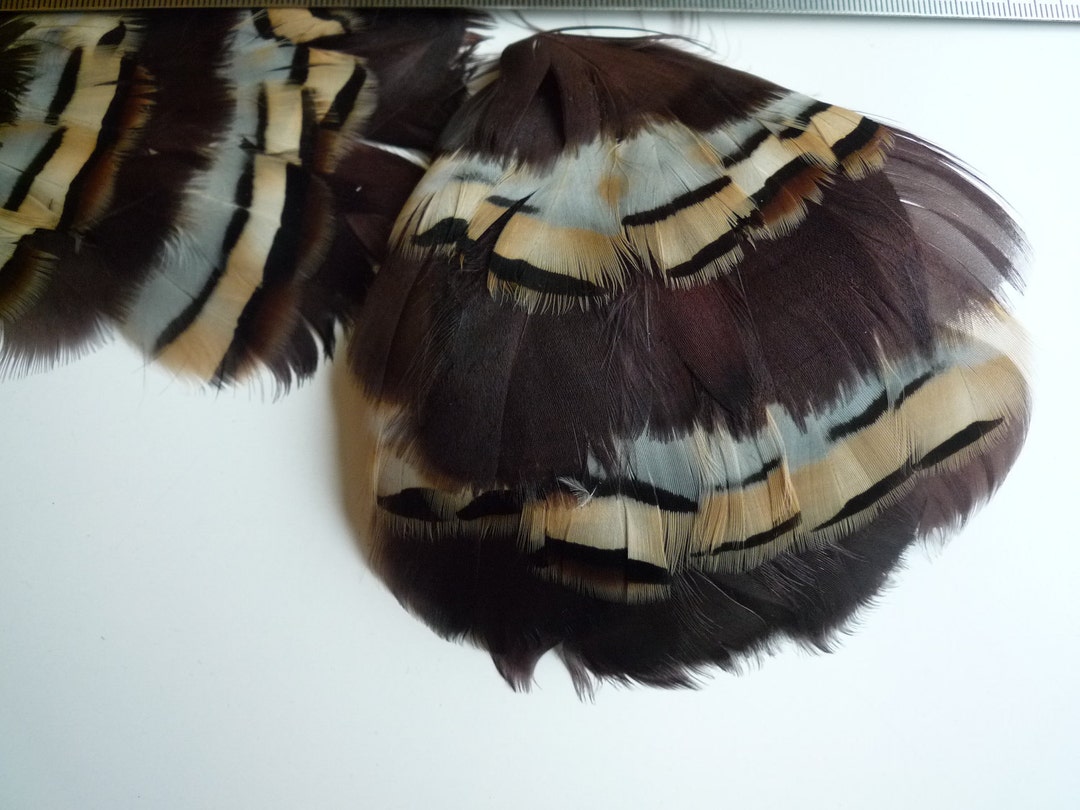 FEATHER PAD Partridge Feather Pad Exclusive Quality / 85 - Etsy