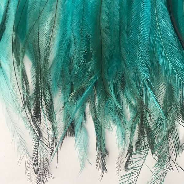 Emu Feathers - Etsy