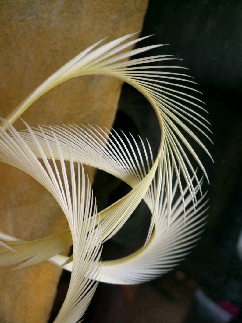 GOOSE BIOT FEATHERS Banana Pudding Cream Bone / 763 | Etsy