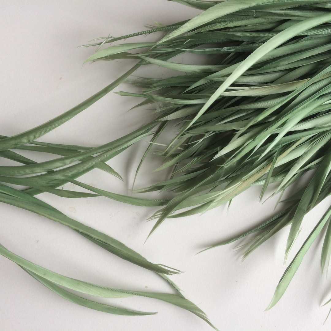 GOOSE BIOT FEATHERS, Sage, Celery Green / 807 - Etsy
