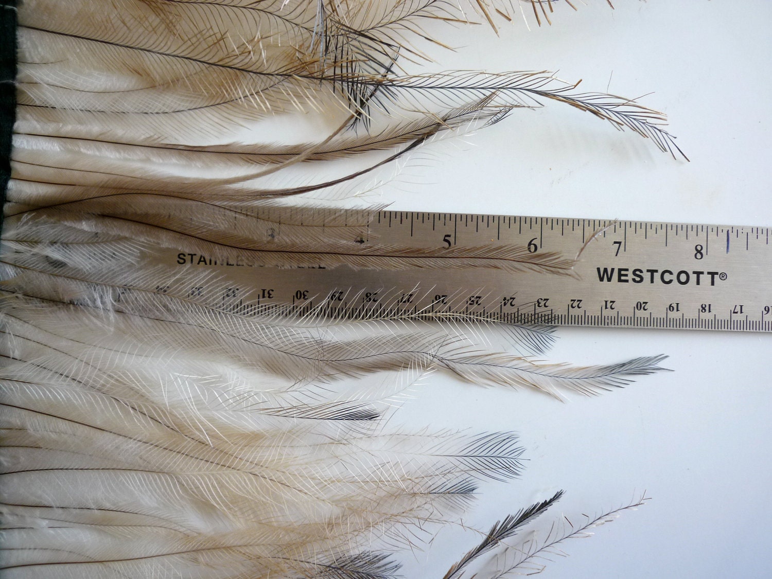 EMU FEATHERS Natural Not Dyed / 681 - Etsy