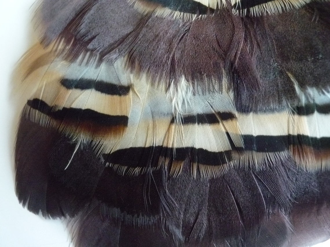 FEATHER PAD Partridge Feather Pad Exclusive Quality / 85 - Etsy