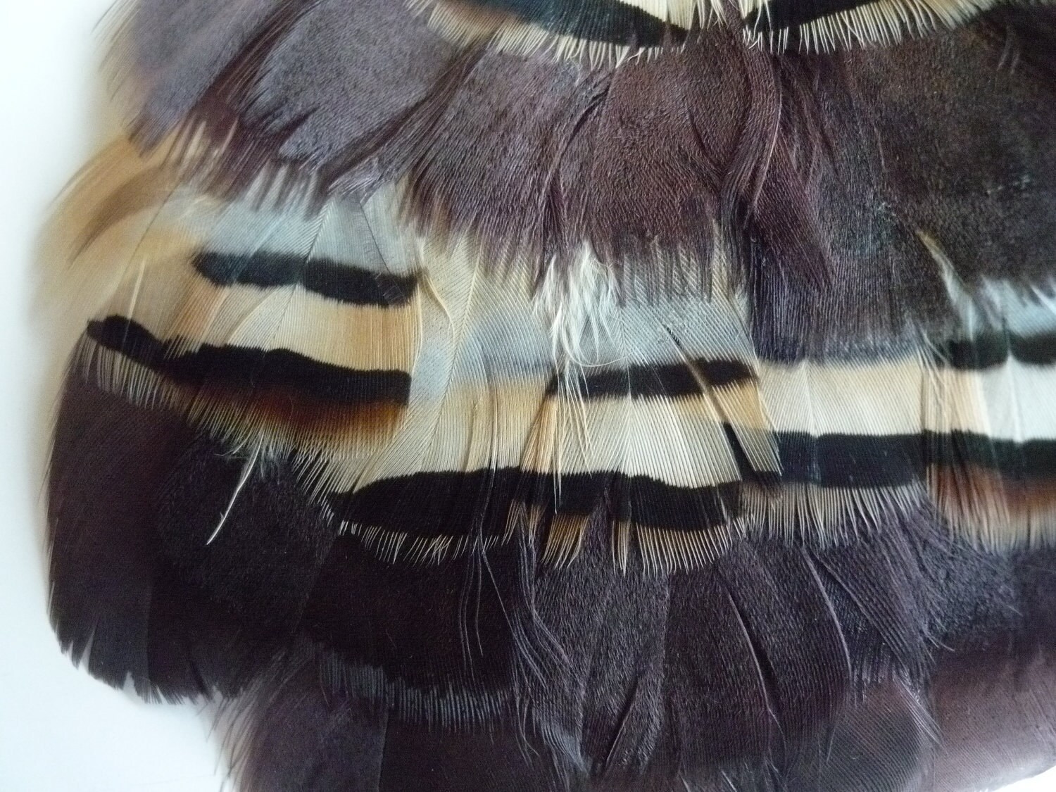 FEATHER PAD Partridge Feather Pad Exclusive Quality / 85 - Etsy