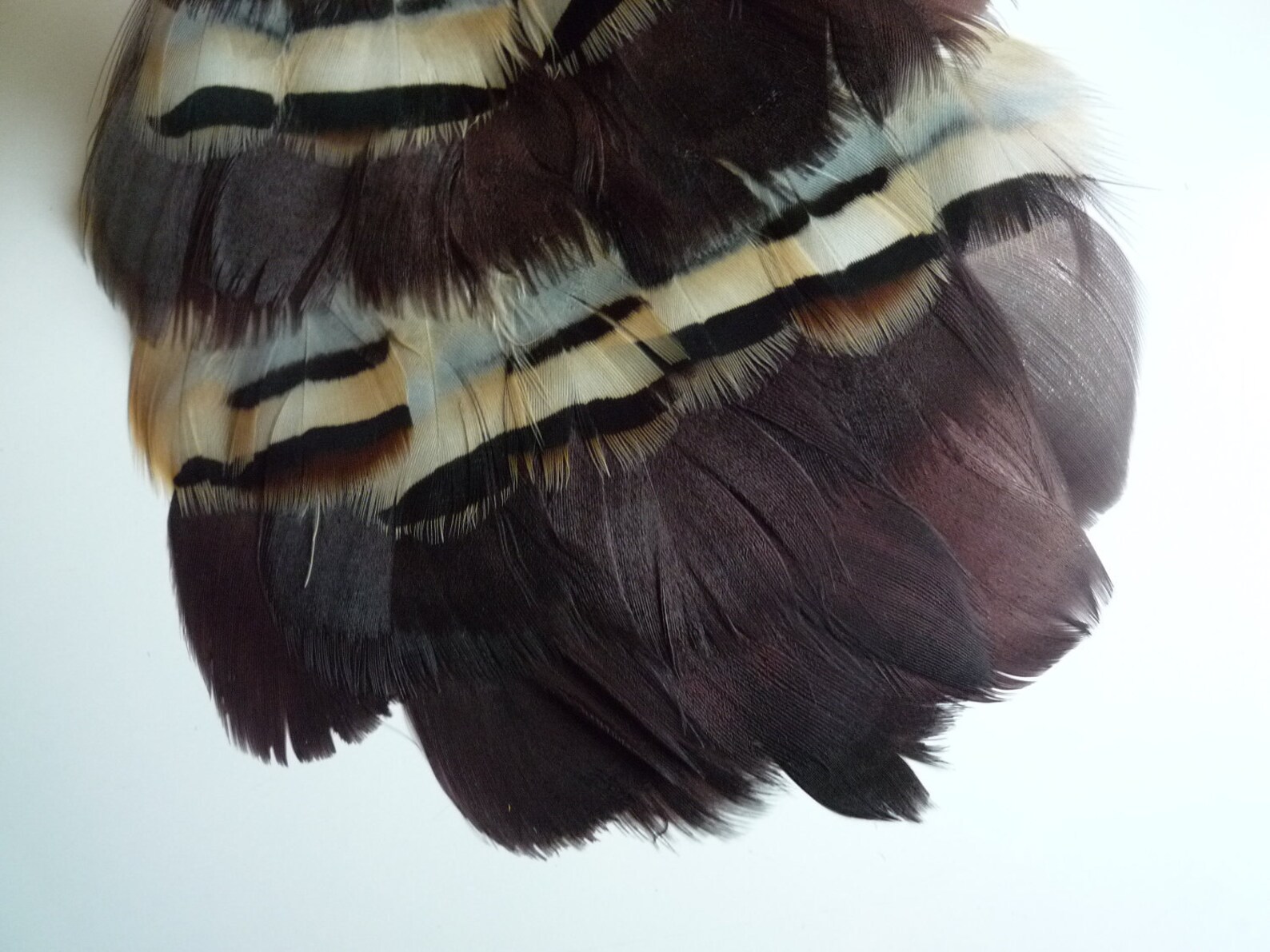 FEATHER PAD Partridge Feather Pad Exclusive Quality / 85 - Etsy