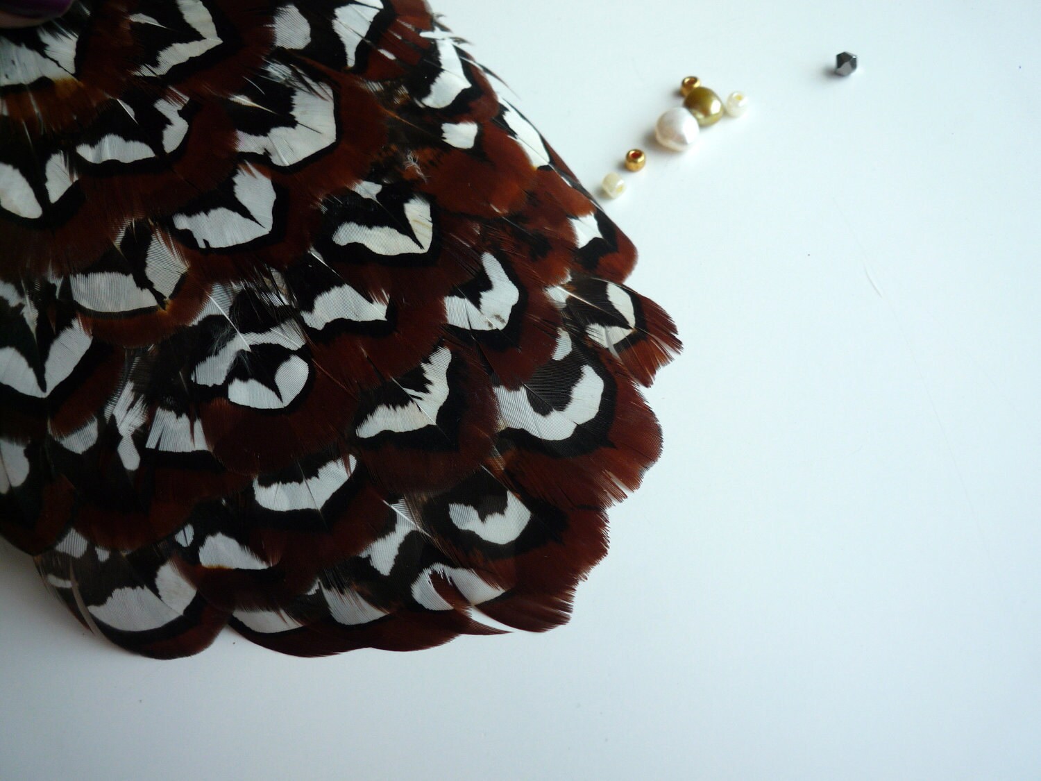 FEATHER PAD Pheasant Ringneck Feather / 95 - Etsy