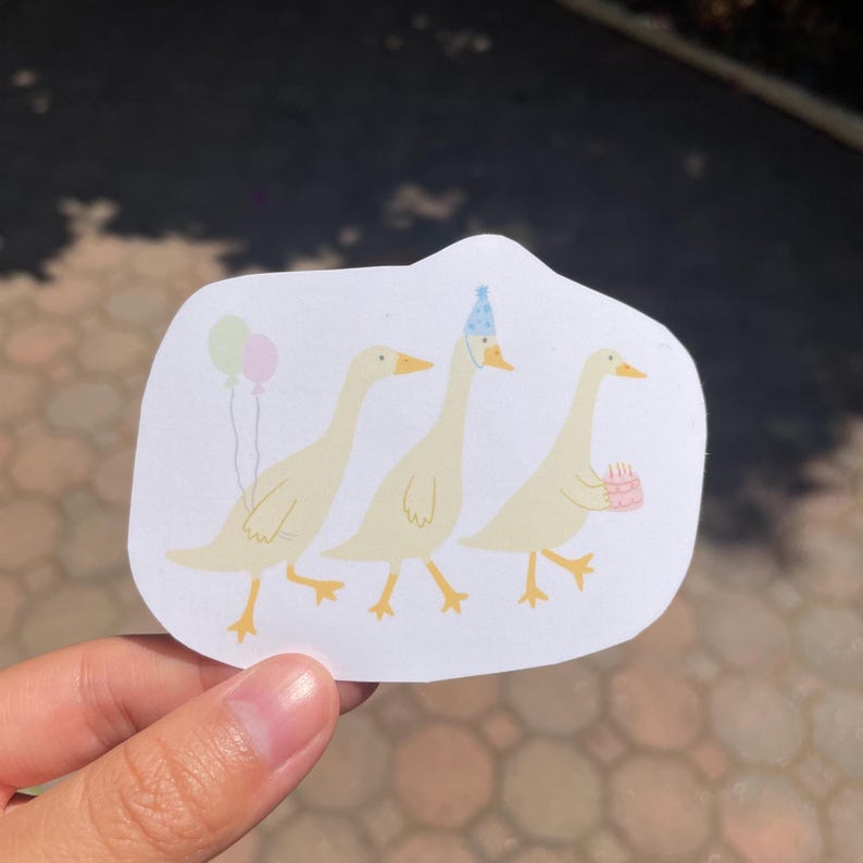 Birthday Ducks Vinyl Sticker | Silly Duck Sticker | Ducks - Etsy