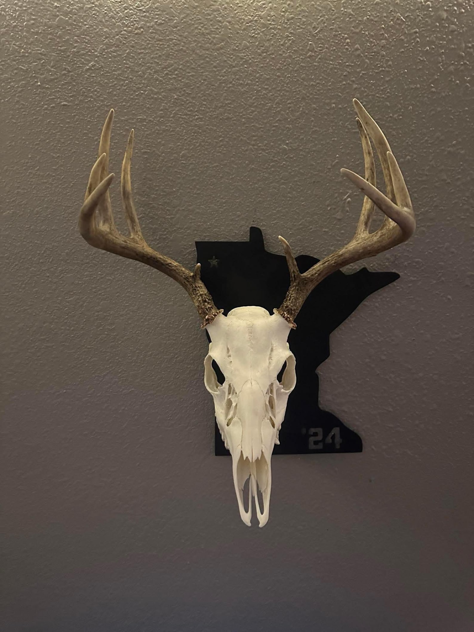 Custom Euro Mount Plaque - Etsy