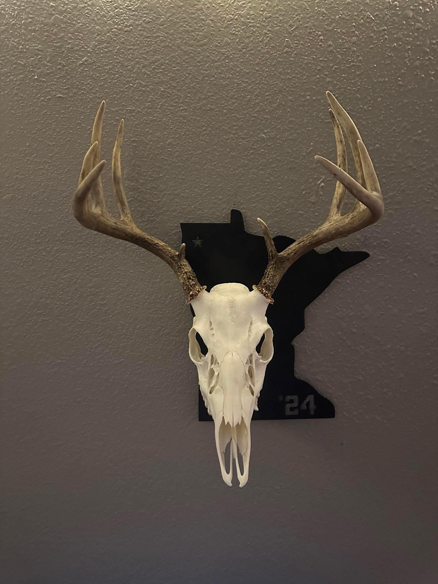Custom Euro Mount Plaque - Etsy