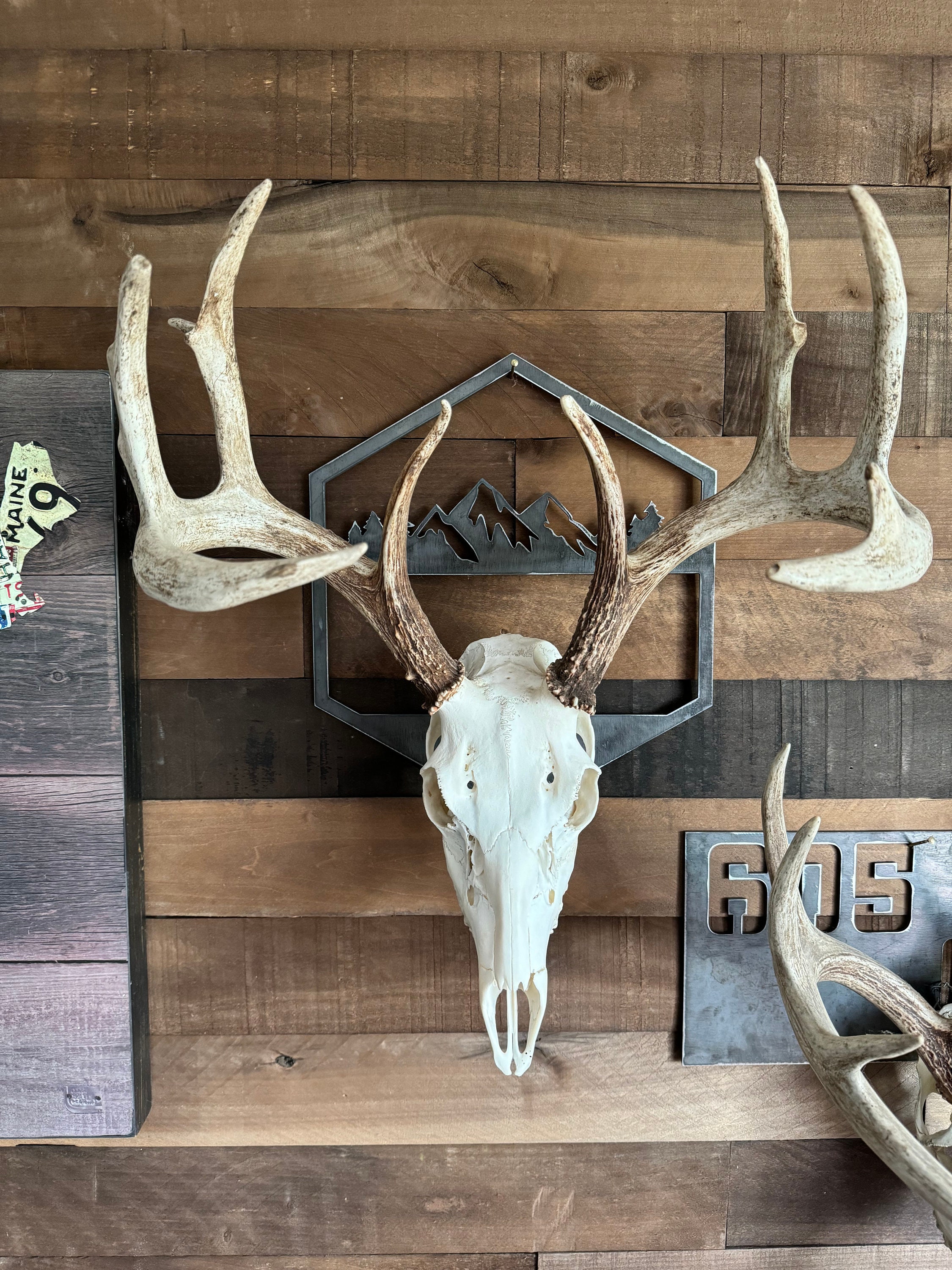 Custom Euro Mount Plaque - Etsy