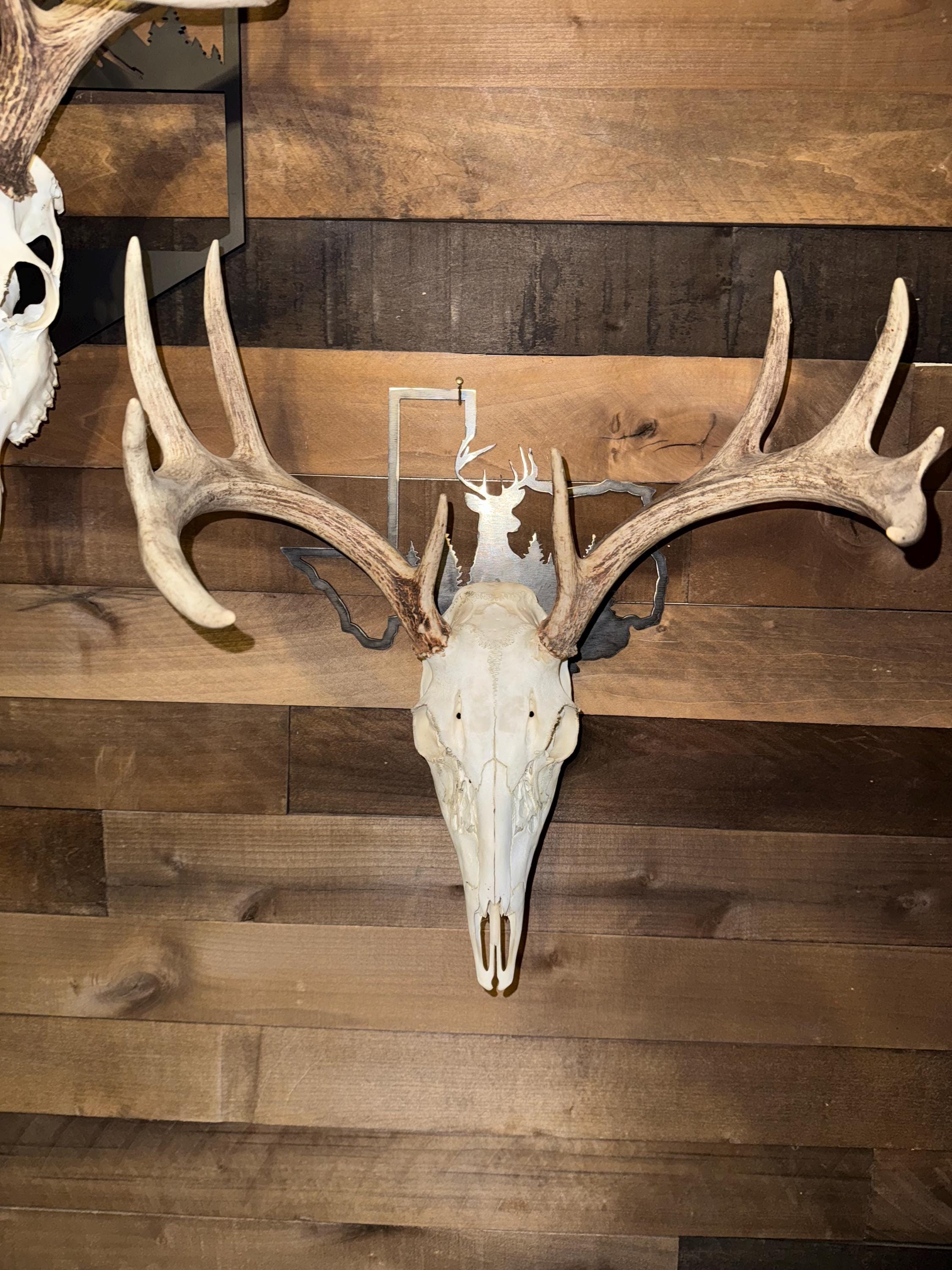 Custom Euro Mount Plaque - Etsy