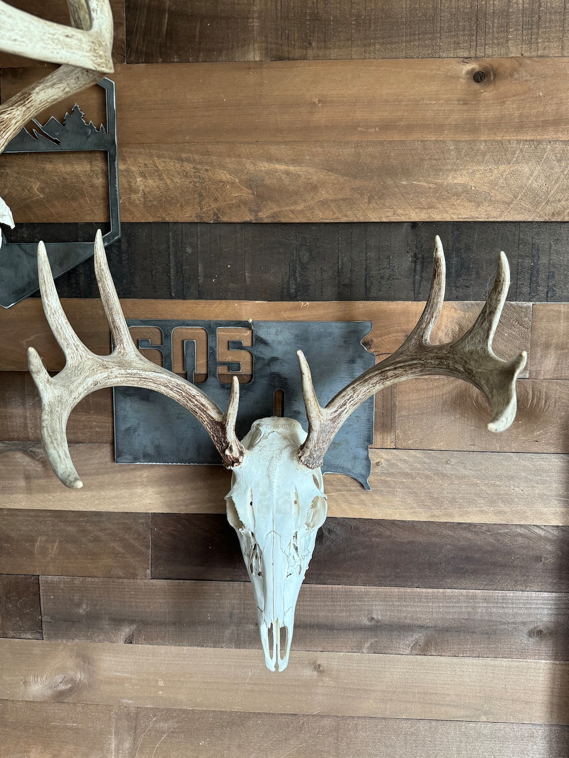 Custom Euro Mount Plaque - Etsy