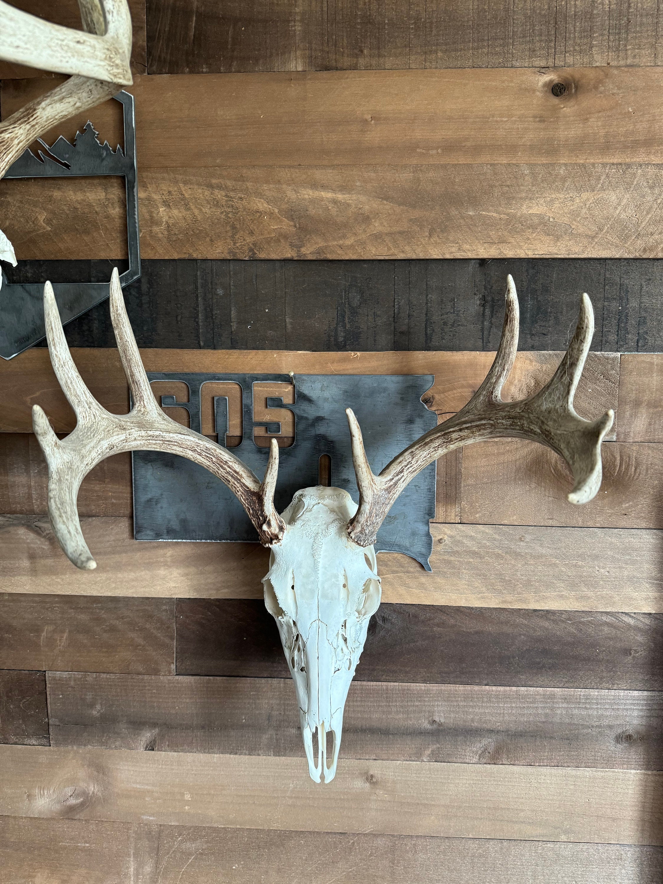 Custom Euro Mount Plaque - Etsy