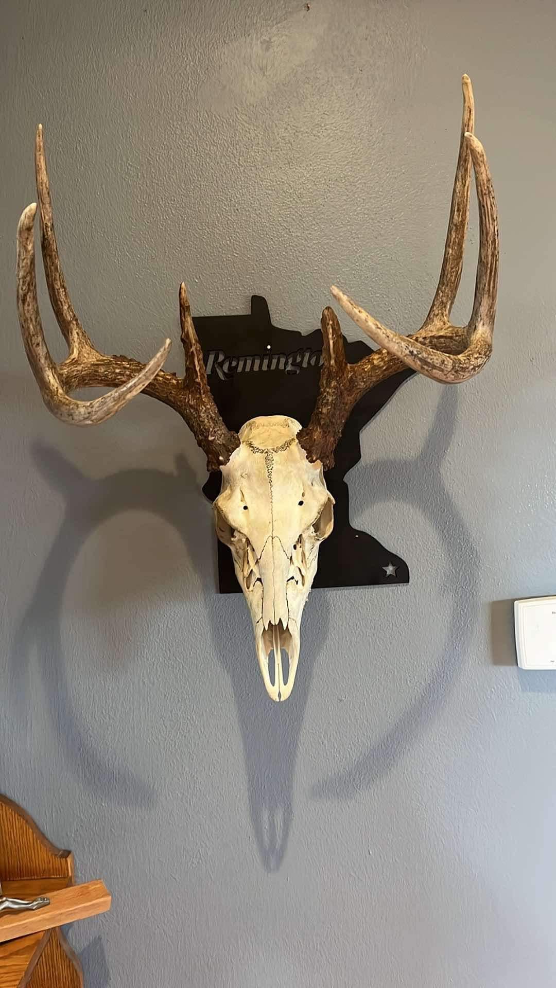 Custom Euro Mount Plaque - Etsy