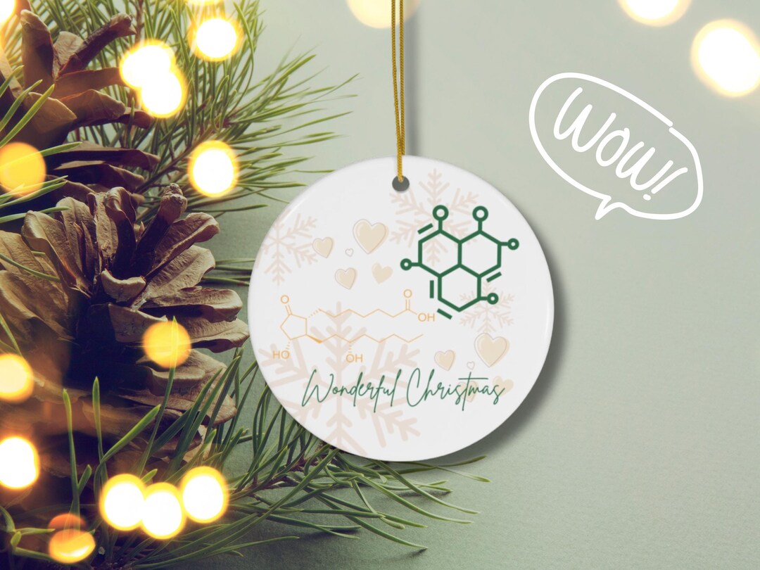 Christmas Ceramic Ornament, CHEMIST Gift for Holiday, SCIENCE LOVER ...