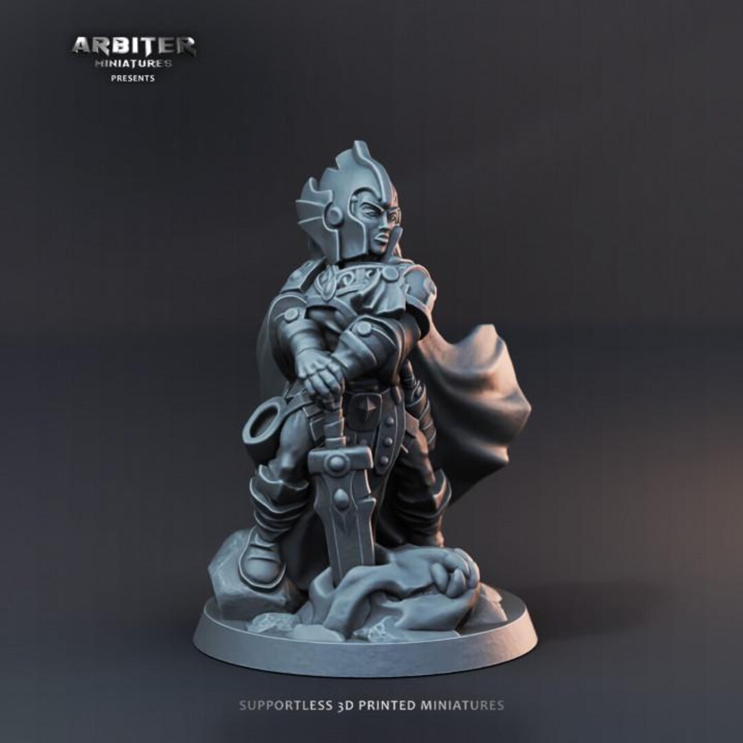 Female Paladin in Heavy Armor Player Character Class NPC DND Miniatures ...