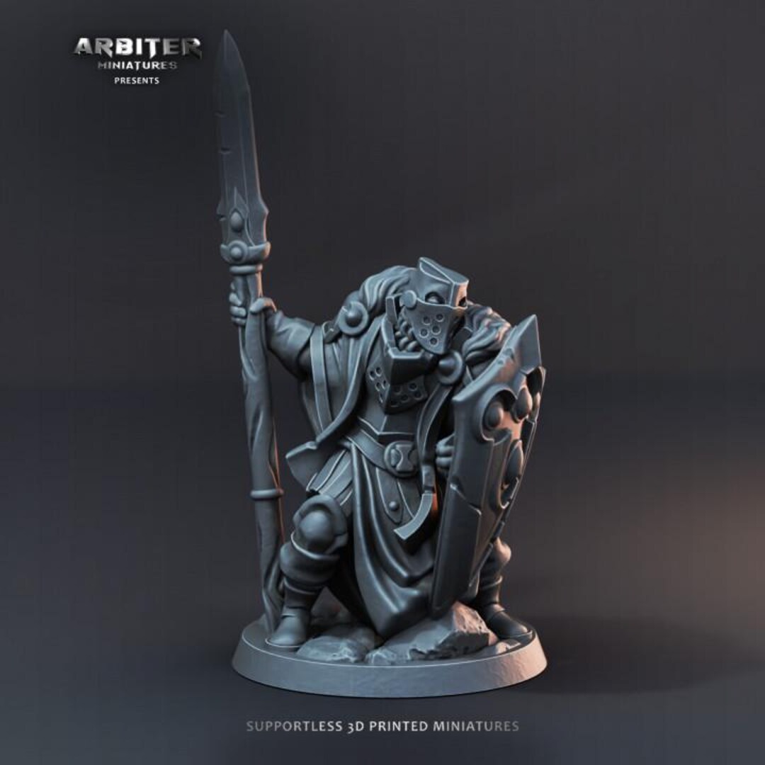 Male Paladin Heavy Armor and Spear Player Character Class NPC DND ...