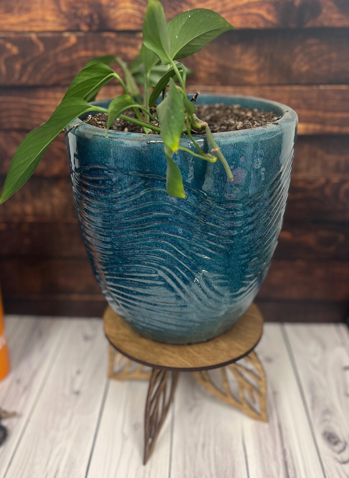 Cute Plant Stand - Etsy