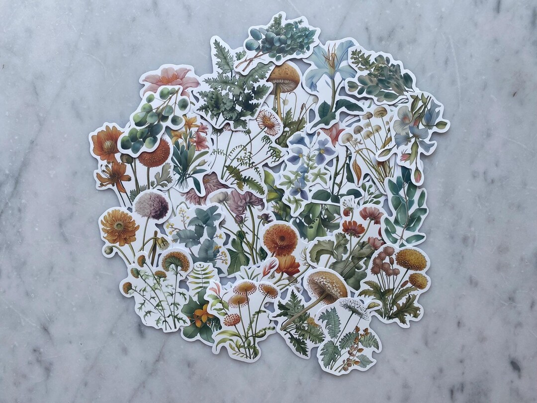 50 PCS Flower Stickers, Vintage Botanical Stickers, Floral Plant ...