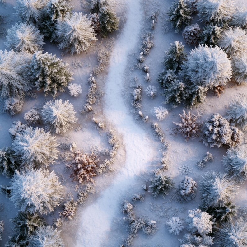 110+ Christmas Battlemap Bundle, RPG Battle Grids, D&D, Tabletop Maps ...