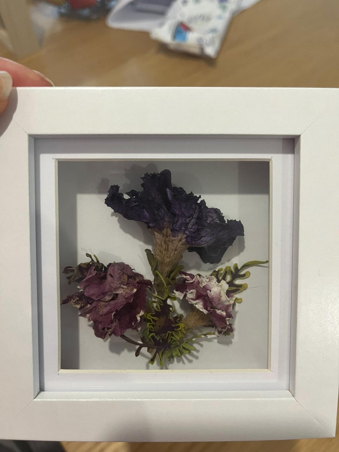 Dried Flower Pictures 23 - Etsy