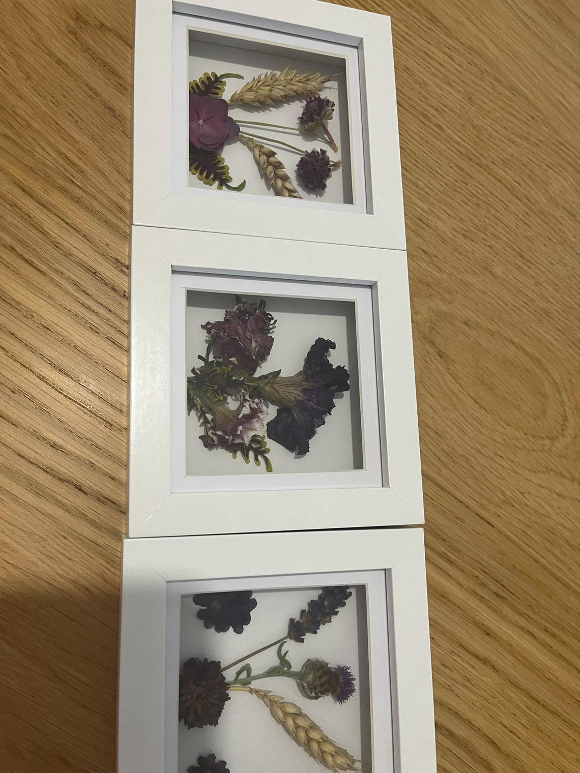 Dried Flower Pictures 23 - Etsy