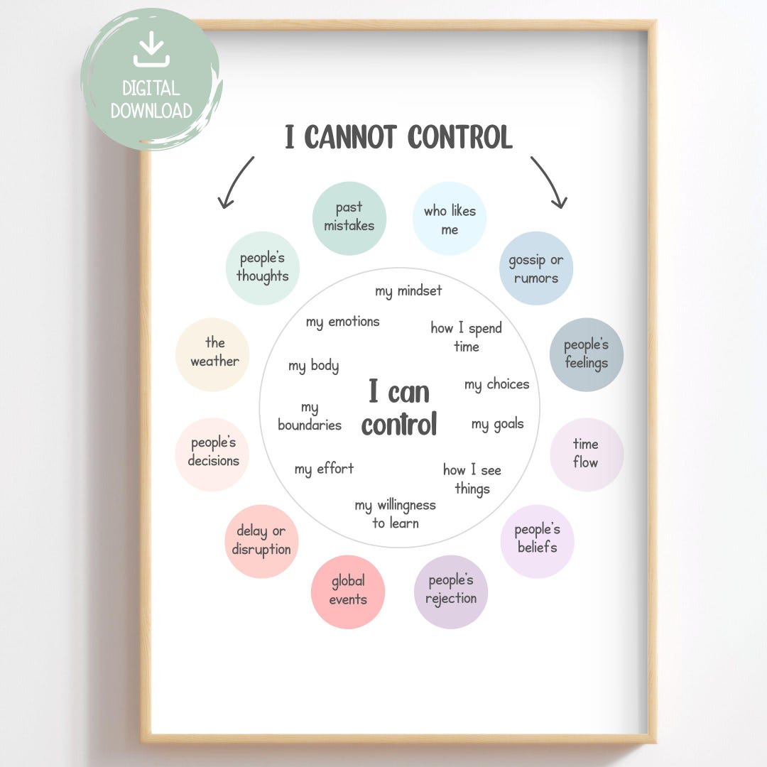 Things I Can Control Poster, Circle of Control Therapy Tool, Calm ...