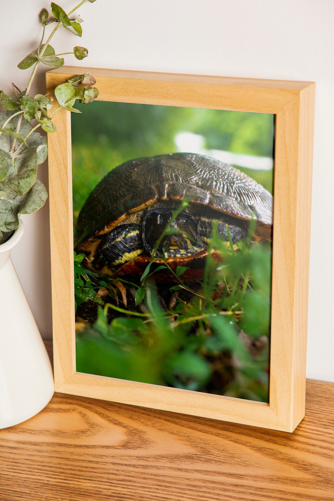 Turtle Close-up Digital Print - Ocean Wildlife Wall Art, Sea Turtle ...