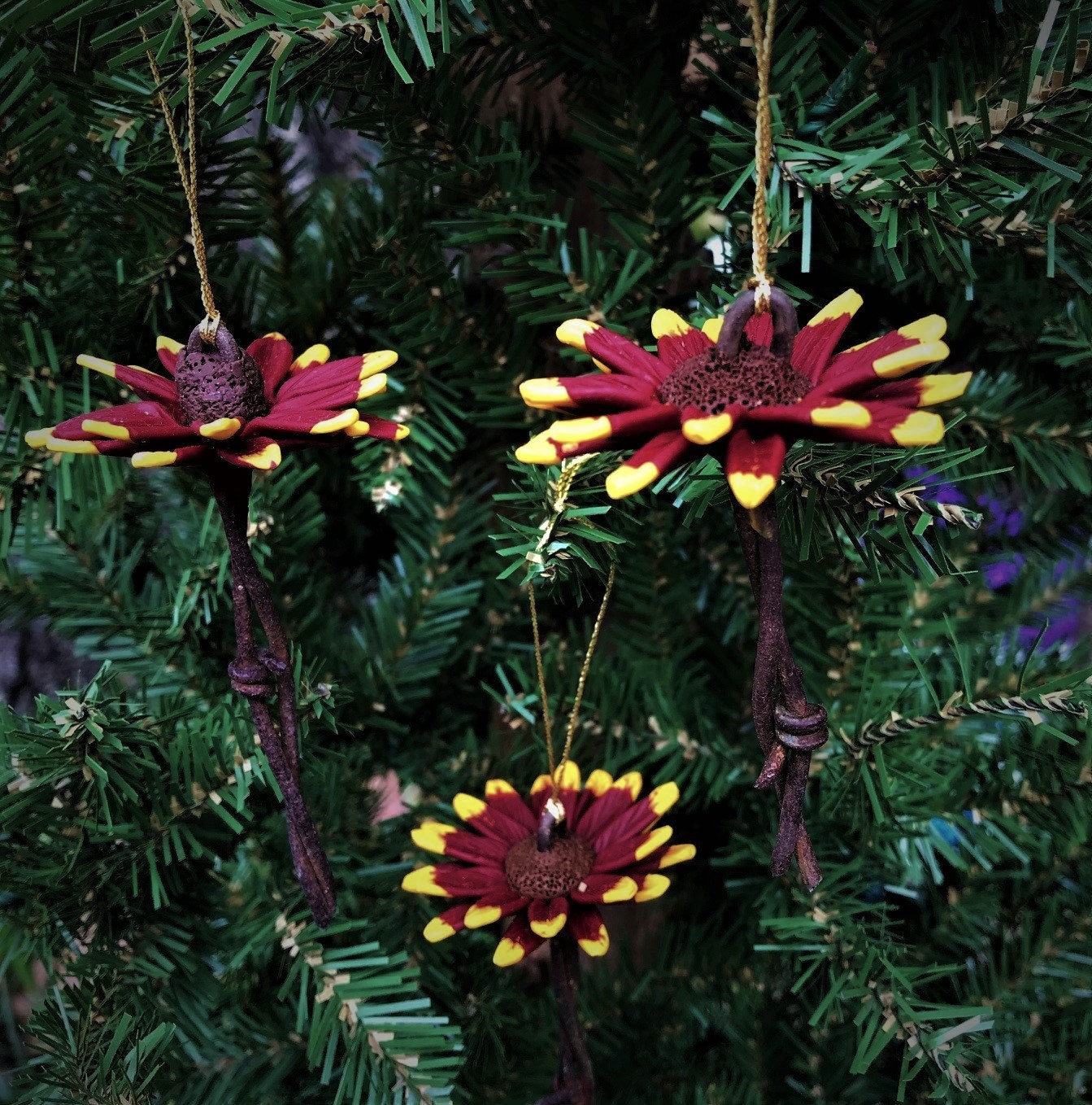 wild flower ornament barbed wire stem texas hill country Firewheel ...