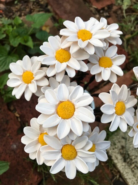 Artificialtexaswildflower/bouquet/buckeyedaisiesfarmhouse | Etsy