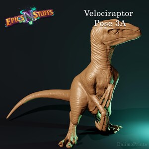 Velociraptor Pose 3A Dinosaurs Miniature 3D Printed Dungeons and ...