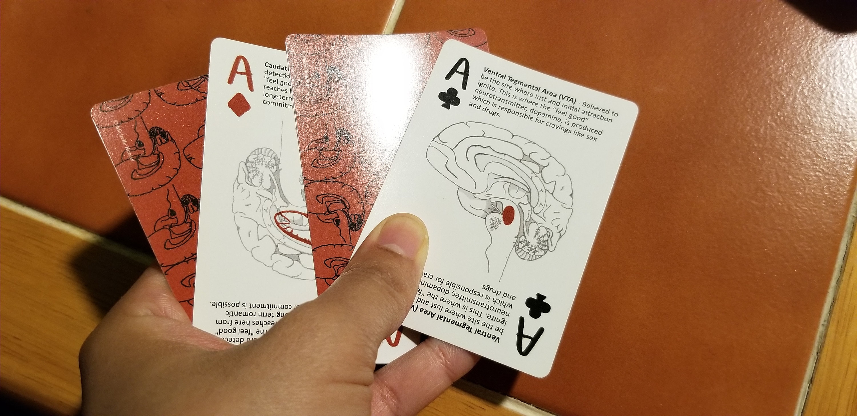 Brain Playing Cards - Etsy