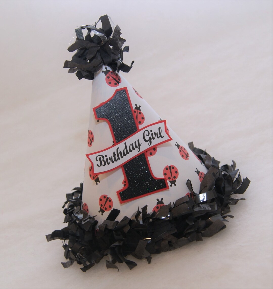 Ladybug Print Party Hat - Black and Red Ladybug Birthday Party - Etsy