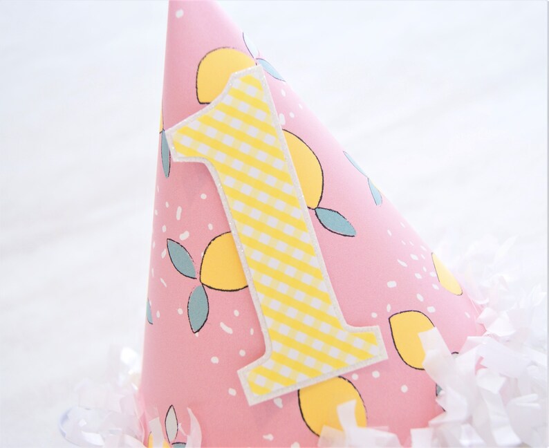 Pink Lemonade Party Hat Lemonade Stand Birthday Party Pink | Etsy