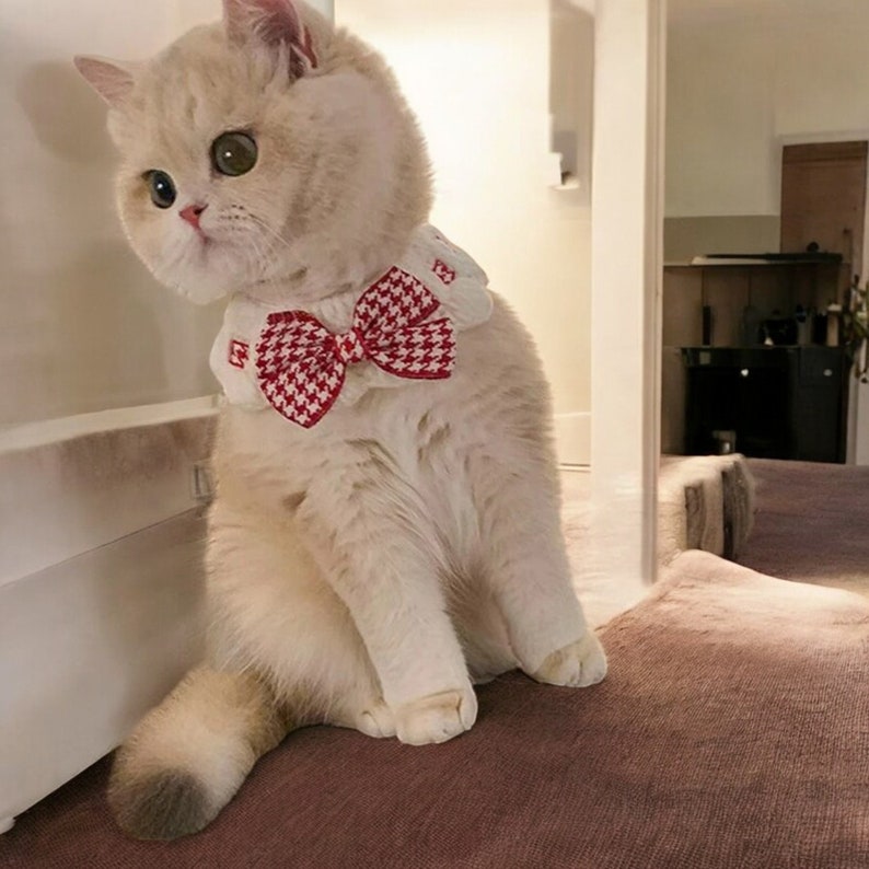 Handmade Lace Pet Bib, Elegant Wedding Accessory - Etsy