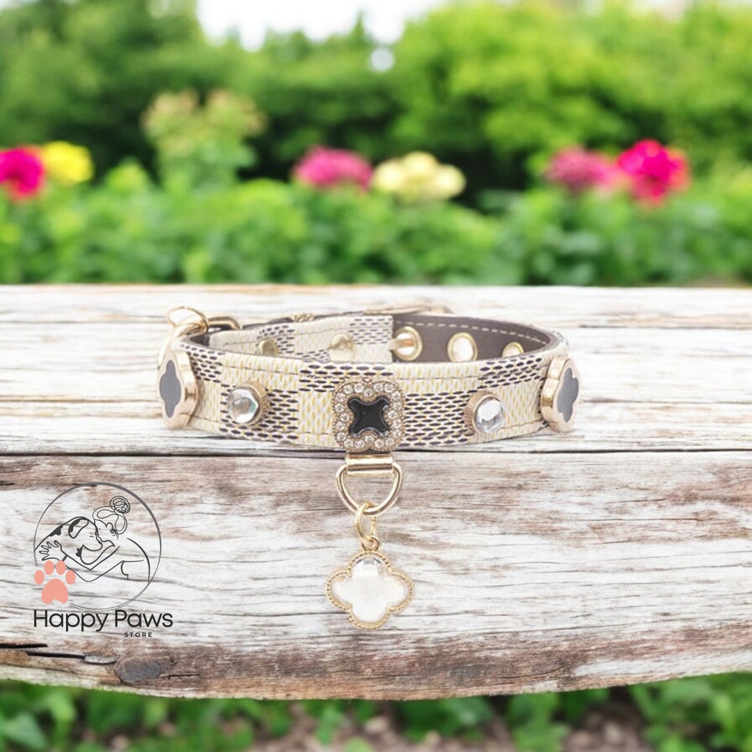 Luxury Pet Collar With Rhinestones & Gold Accent, Adjustable Dog Cat ...