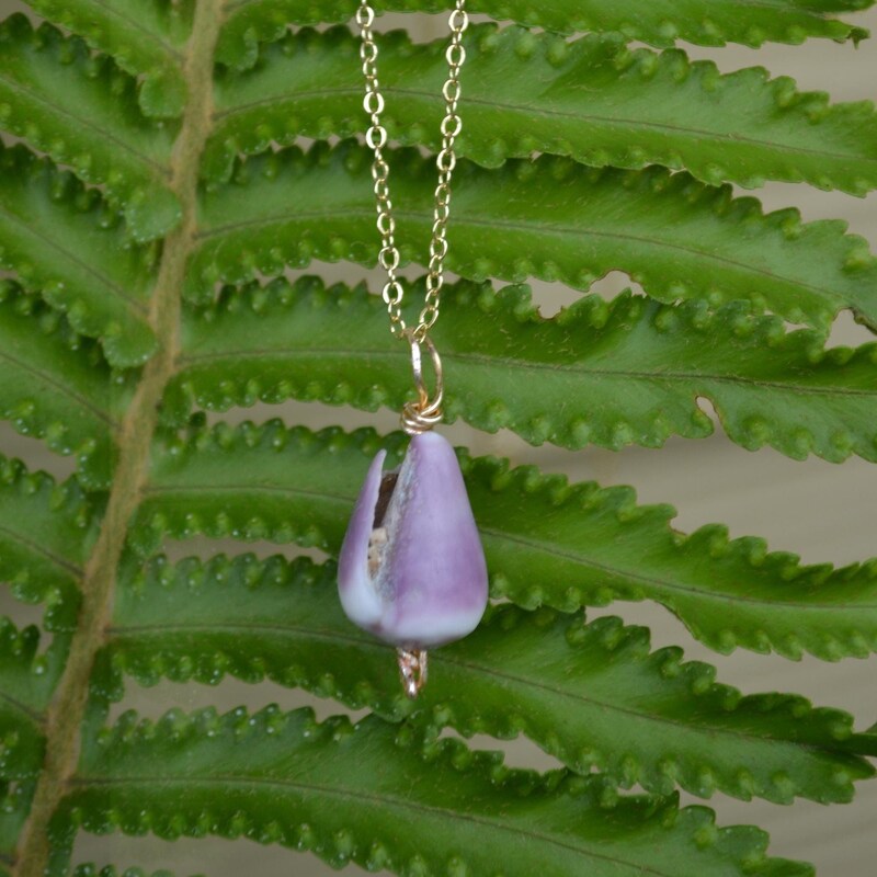 Shell Necklace - Etsy