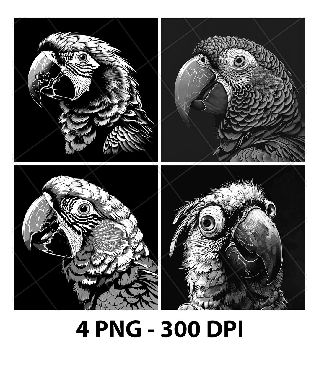 Parrot Laser Engrave File PNG Parrot Laser File Parrot Slate File ...