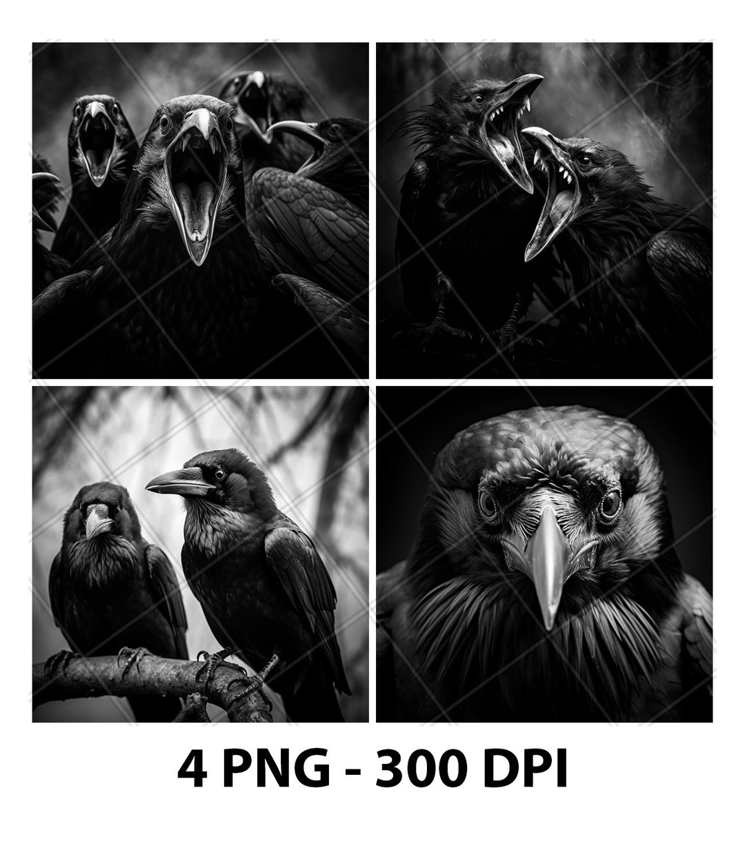 Crow Raven Laser Engrave File PNG Raven Laser File Raven Slate File ...